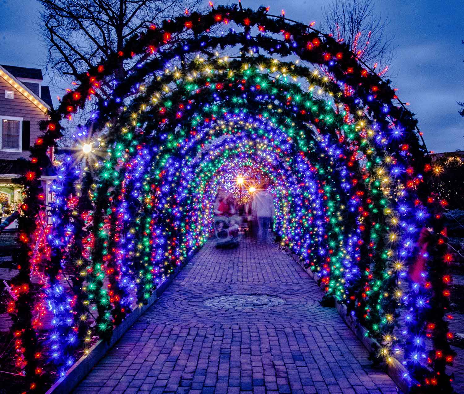 15 Christmas lights in Philadelphia | Greenvans